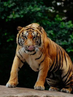 Απαραίτητα τζαμιά για επίσκεψη στην Κωνσταντινούπολη: Αγία Σοφία, Μπλε ...